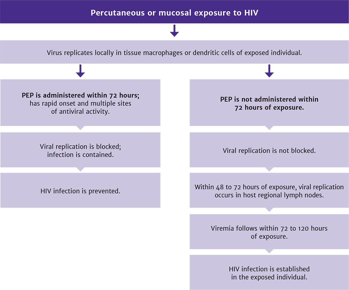 NYSDOH AI PEP to Prevent HIV Infection Figure 1 - Clinical Guidelines ...